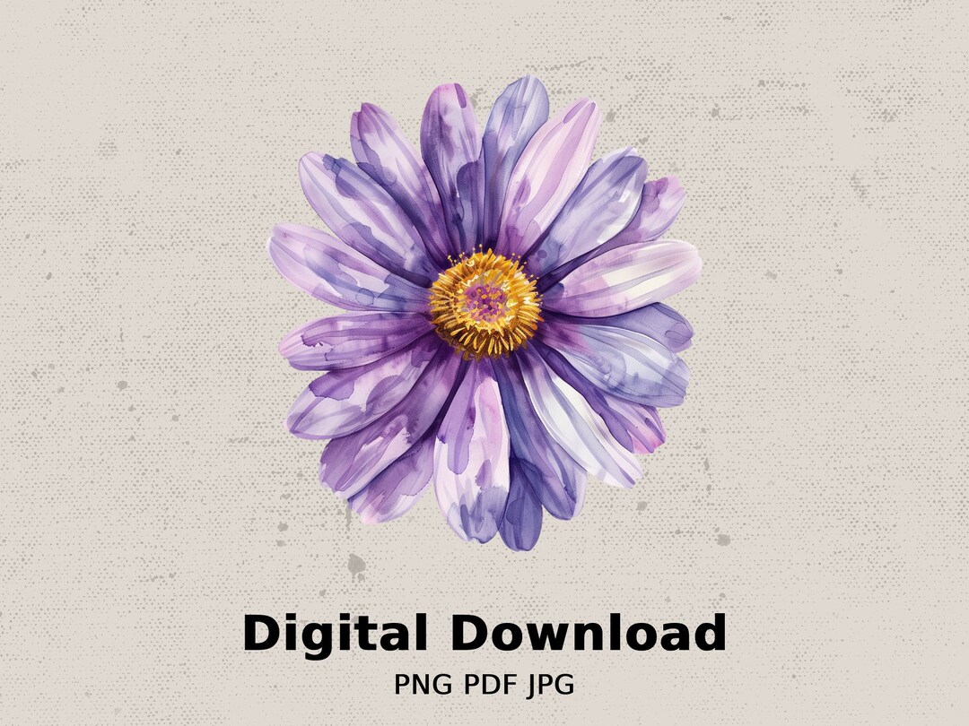 Daisy Flower Clipart, Spring Floral PNG, Printable Daisy Flowers Art ...