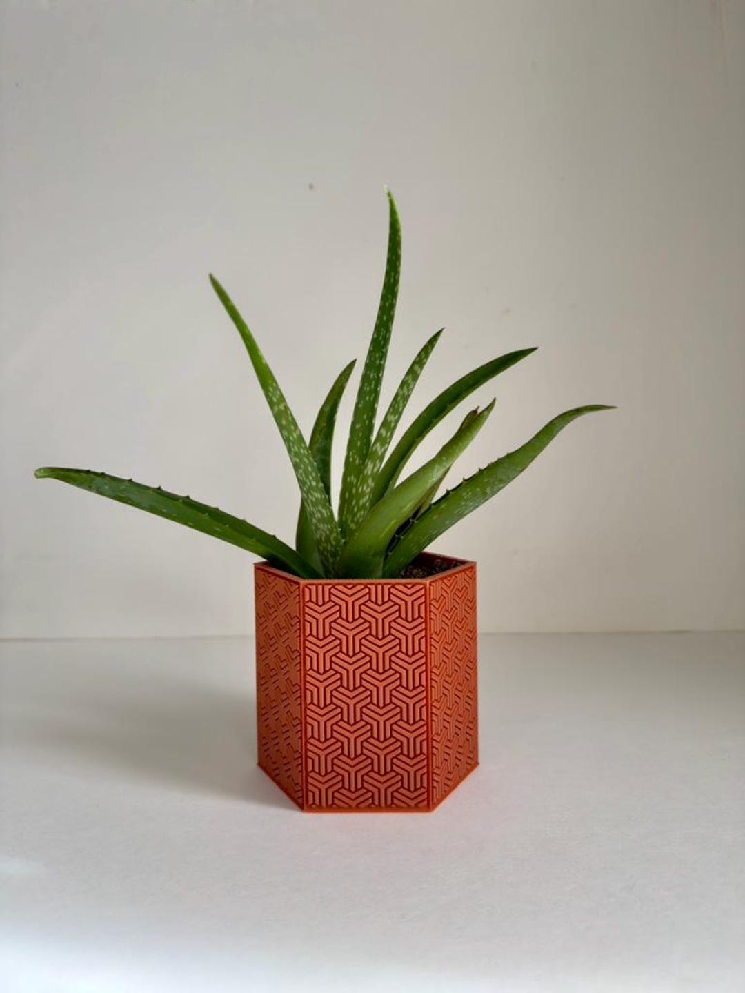 Modern Plant Pots for Plants 3D Printed Planter Decorative Plant Pot ...
