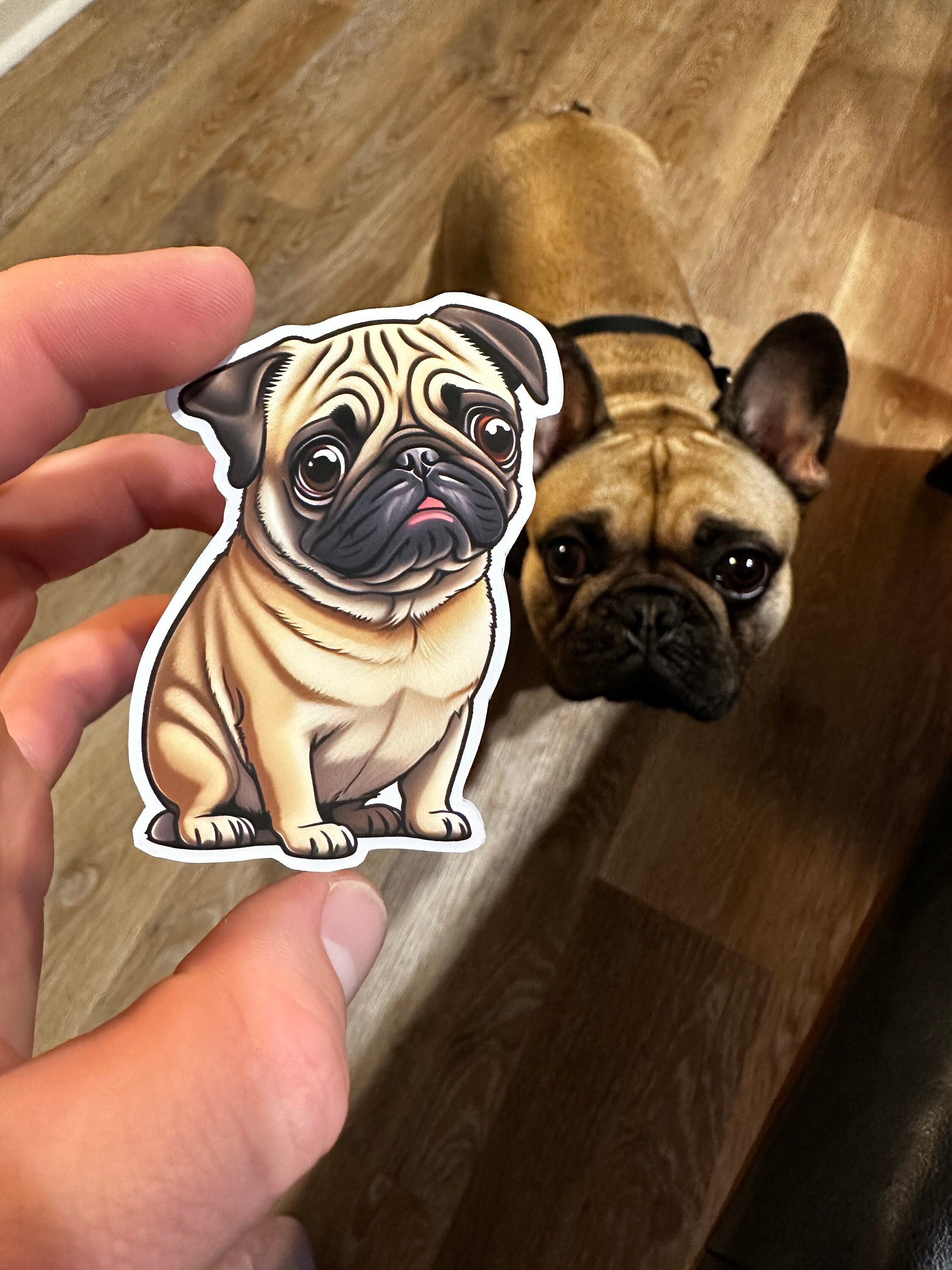 Cute Pug Sticker Weatherproof - Etsy