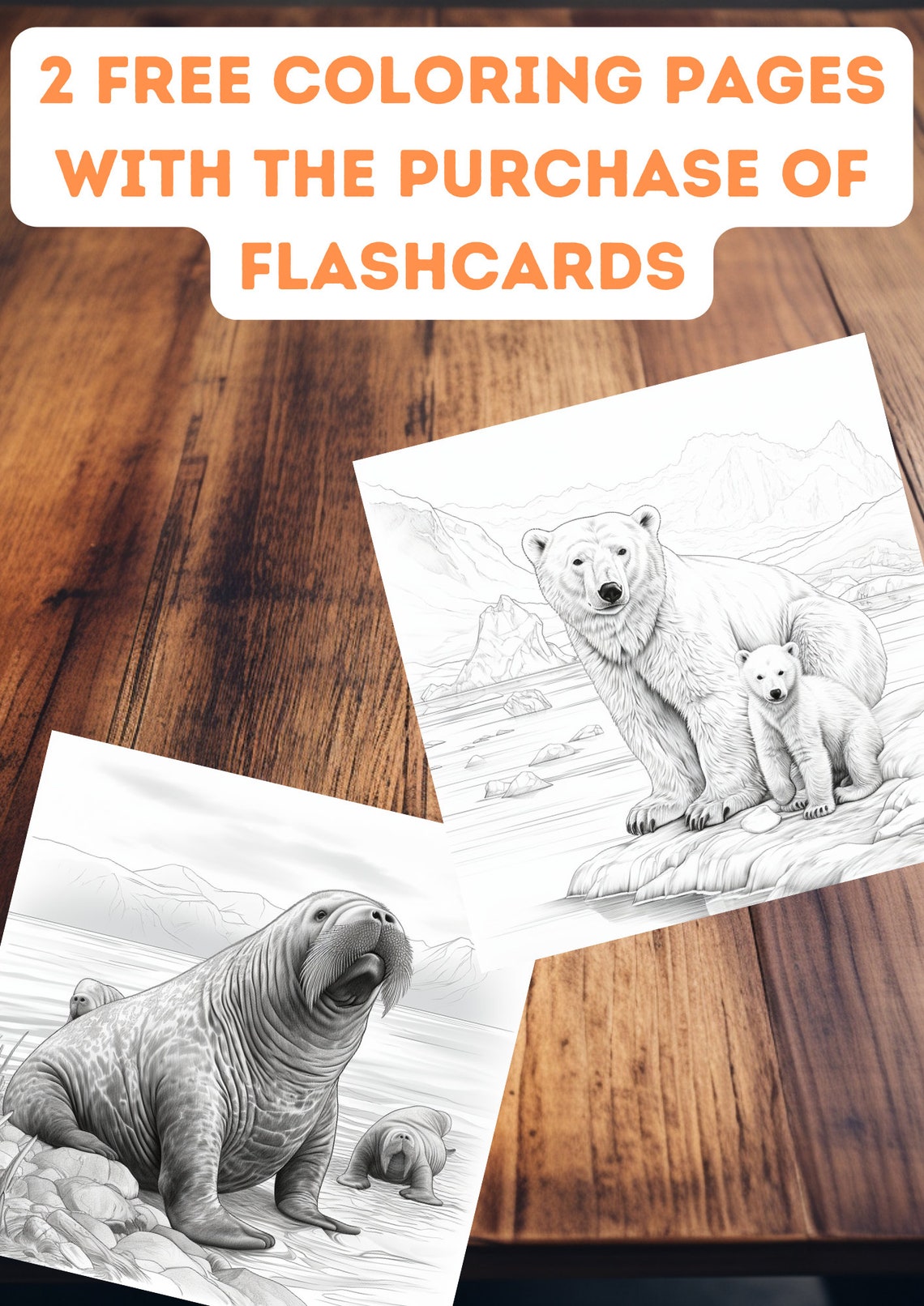 8 Arctic Animal Flashcards Included With 2 Free Animal Coloring Pages ...