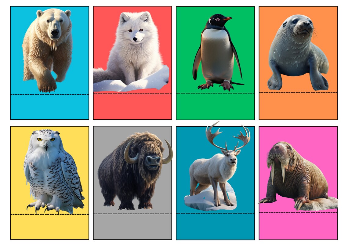 8 Arctic Animal Flashcards Included With 2 Free Animal Coloring Pages ...