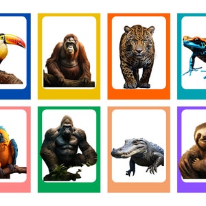 8 Rainforest Animals Flashcards Included With 2 Free Animal Coloring ...