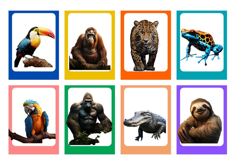 8 Rainforest Animals Flashcards Included With 2 Free Animal Coloring ...