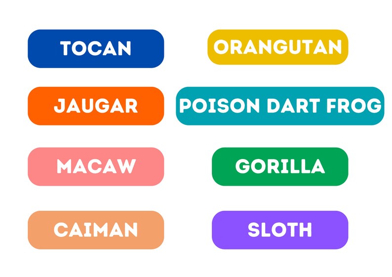 Rainforest Animals Flashcards | Educational Learning Cards (digital ...