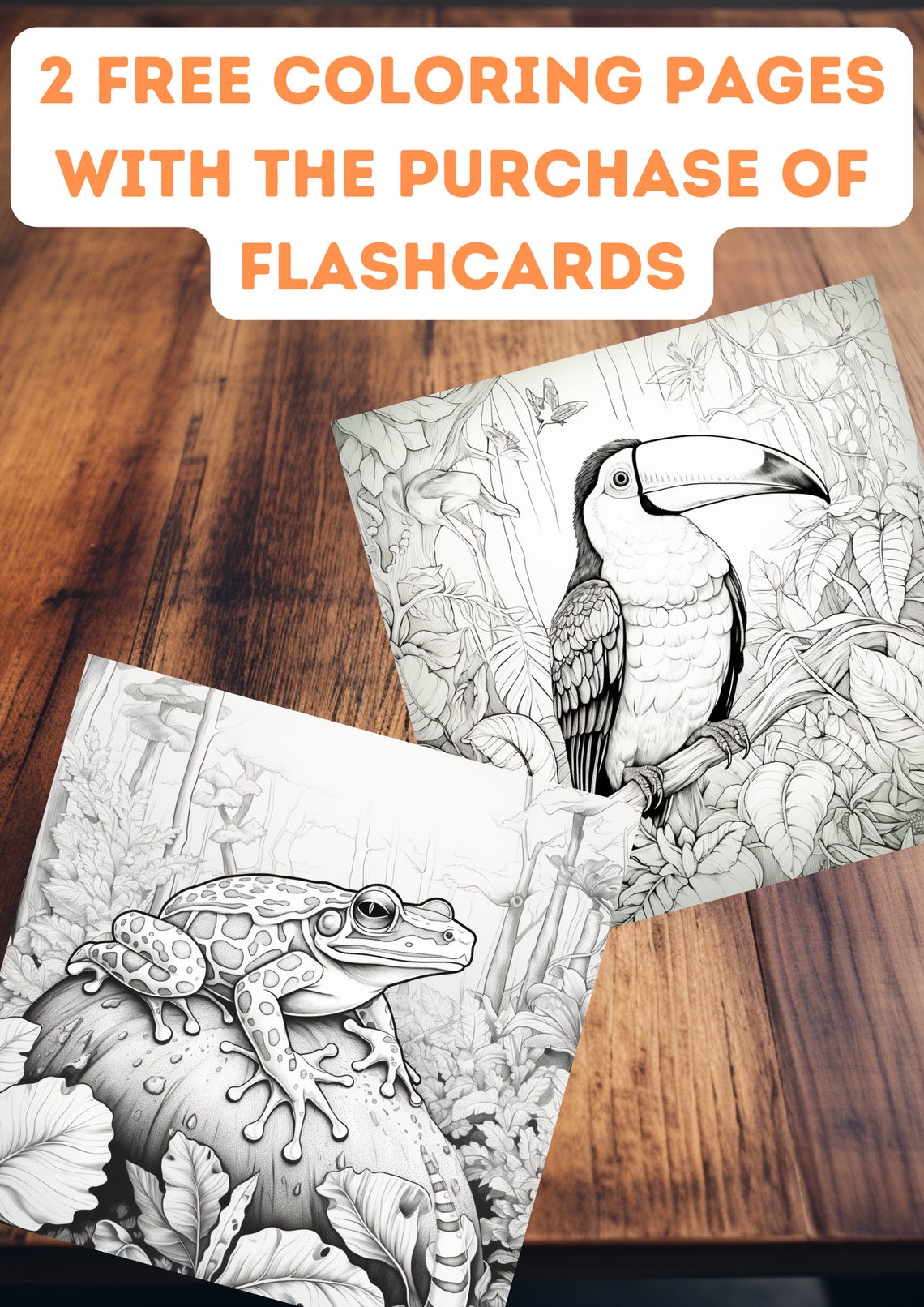 8 Rainforest Animals Flashcards Included With 2 Free Animal Coloring ...