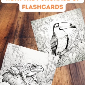 8 Rainforest Animals Flashcards Included With 2 Free Animal Coloring ...