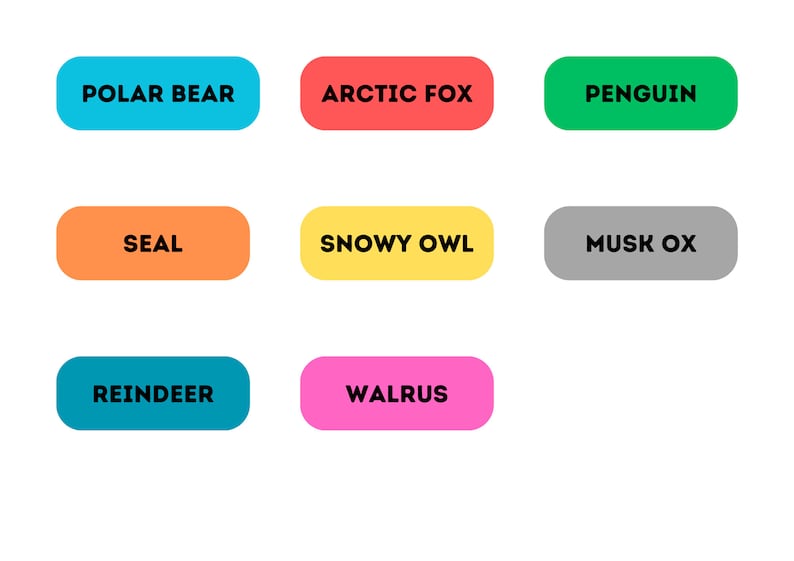 8 Arctic Animal Flashcards Included With 2 Free Animal Coloring Pages ...