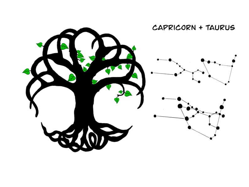 Capricorn Taurus Combined Tree of Life Astrology Constellations ...