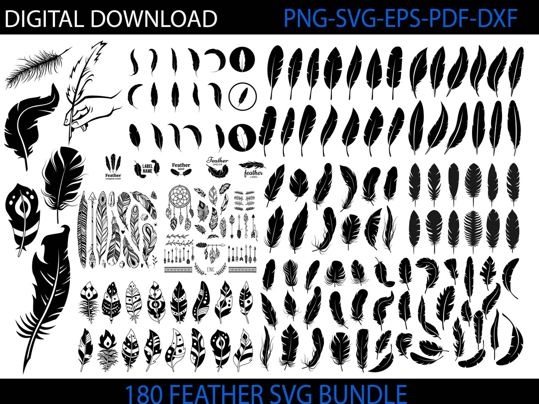 Feather Svg Feather Svg Bundle Feather Birds Svg Feathers Silhouette ...