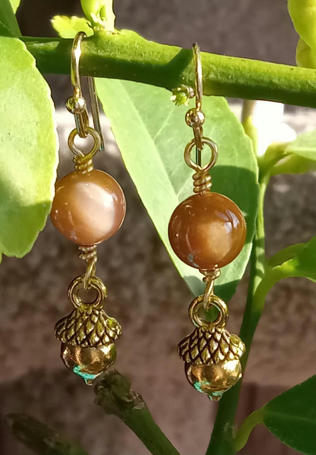 Ancient Petrified Wood & Golden Acorn Earrings - Elegant Drops That ...