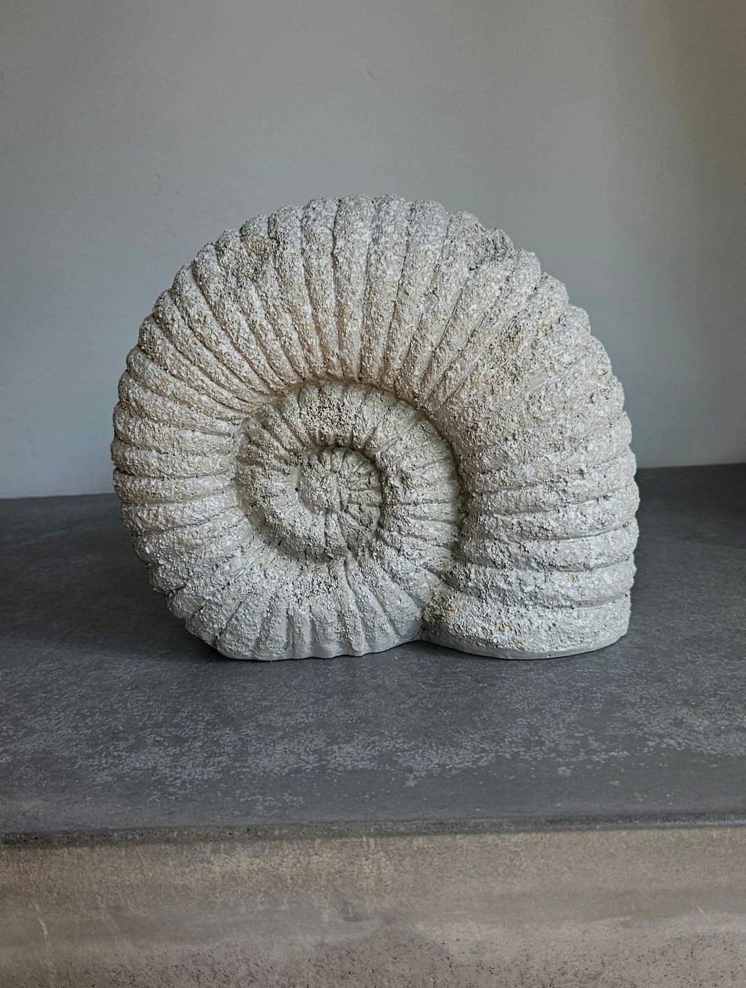 Natural Fossil Ornament Bathroom Living Room Nautical Home Decor Book ...