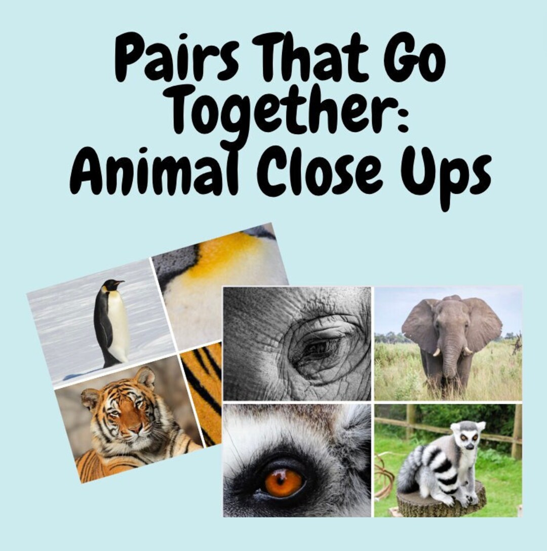 Pairs That Go Together Animal Close Ups - Etsy