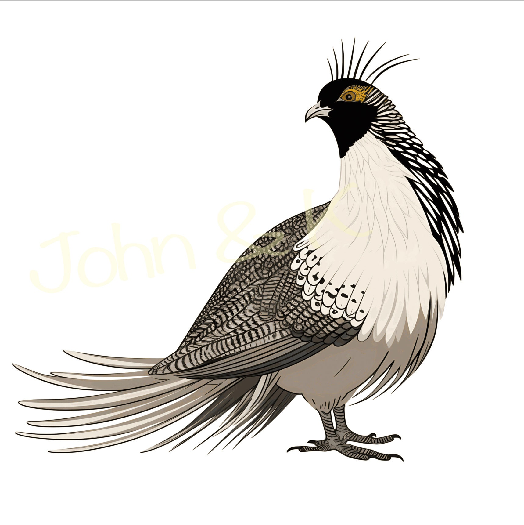 Sage Grouse Svg Grouse Vector Grouse Svg for Shirt Mug - Etsy