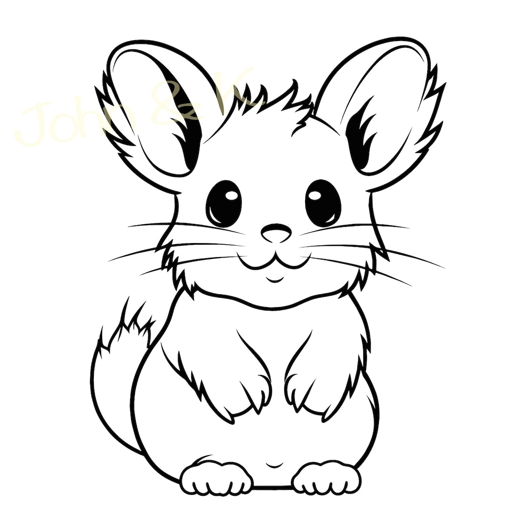 Chinchilla Svg, Patagonian Chinchilla Vector, Chinchilla Svg for Shirt ...