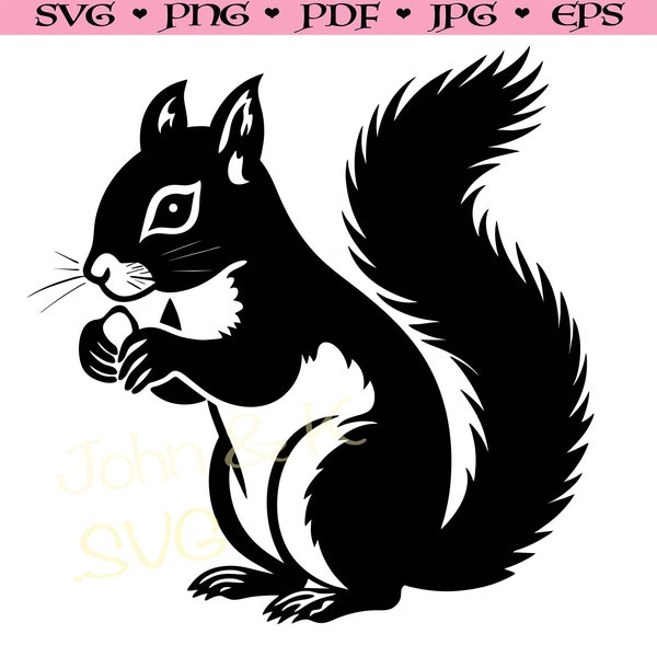 Squirrel Svg - Etsy