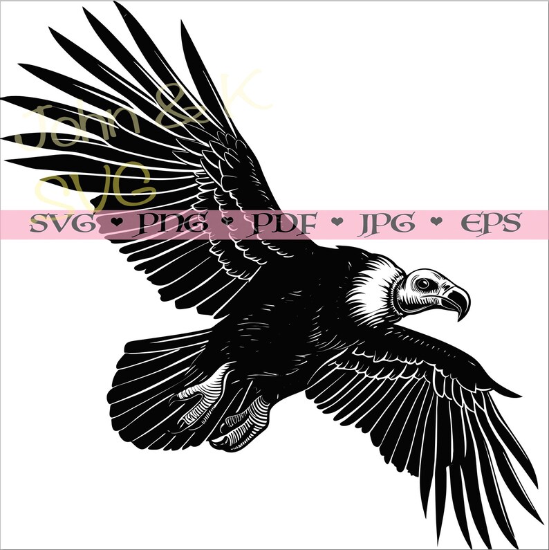 Vulture Svg, Bird of Prey Svg, Vulture Svg Silhouette Cutfile Clipart ...
