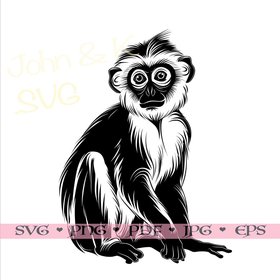 Spider Monkey SVG, Cute Monkey Cutfile, Cricut Silhouette Monkey ...