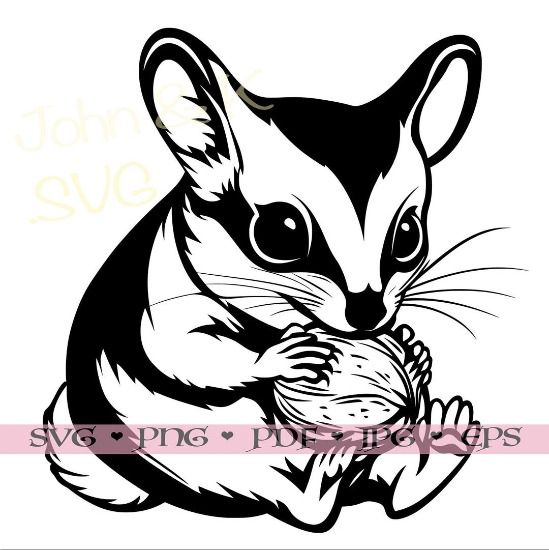 Sugar Glider Svg, Cute Pet Svg, Exotic Pet Cutfile Clipart Cricut ...