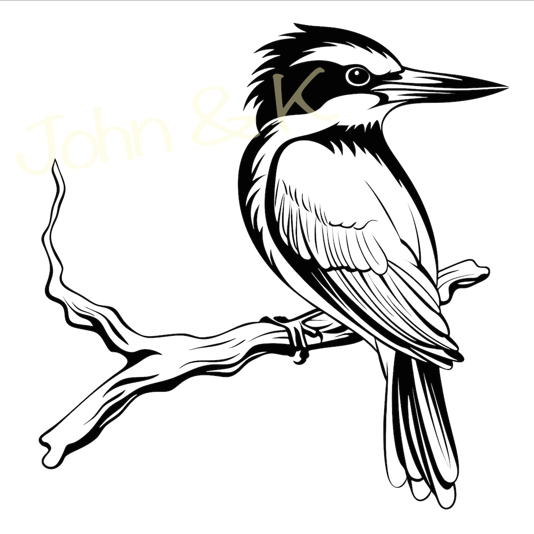 Sacred Kingfisher Svg, Kingfisher Svg, Bird Lover Clip Art, New Zealand ...