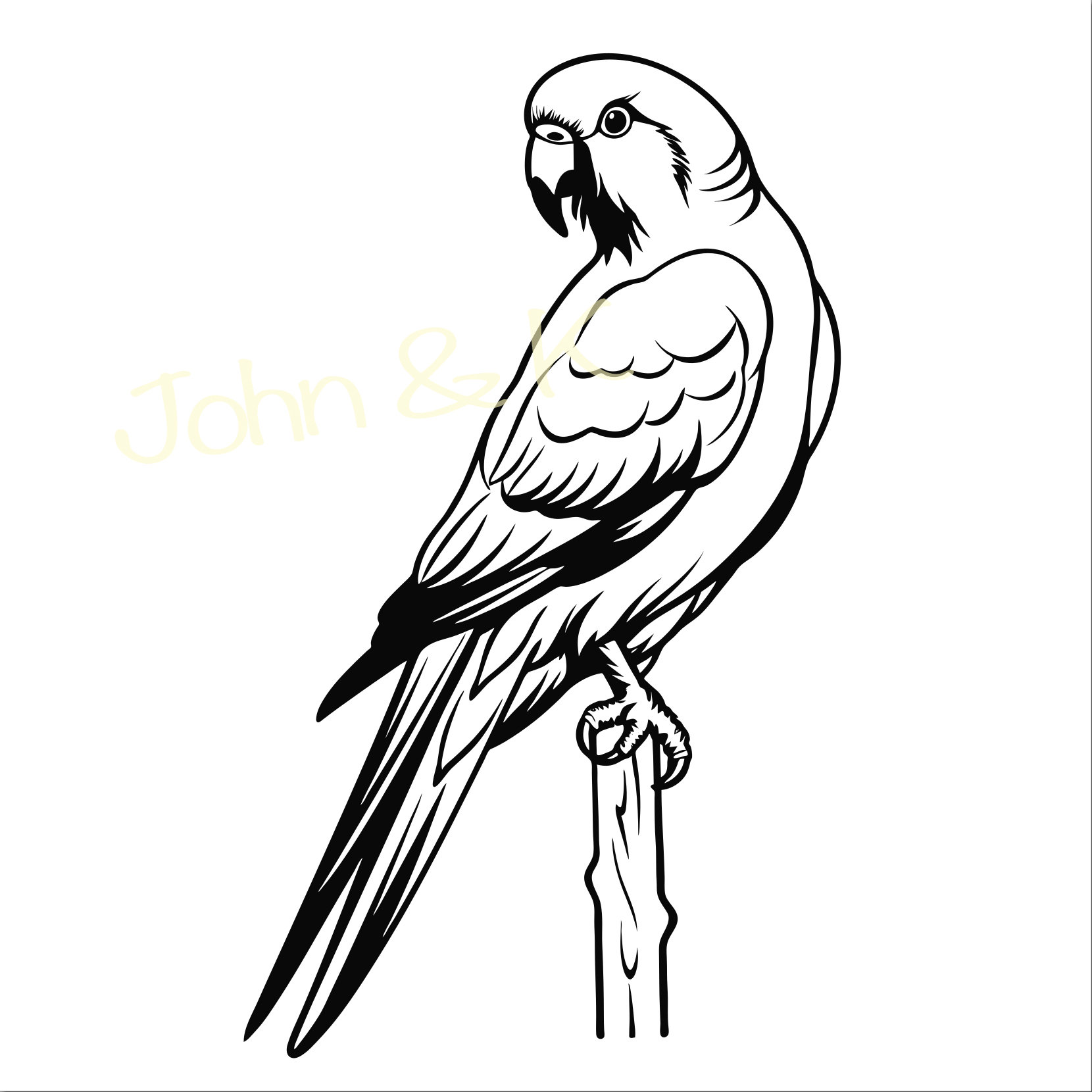 Parakeet Svg, Parakeet Vector, Cute Parrot Svg Cricut Silhouette ...