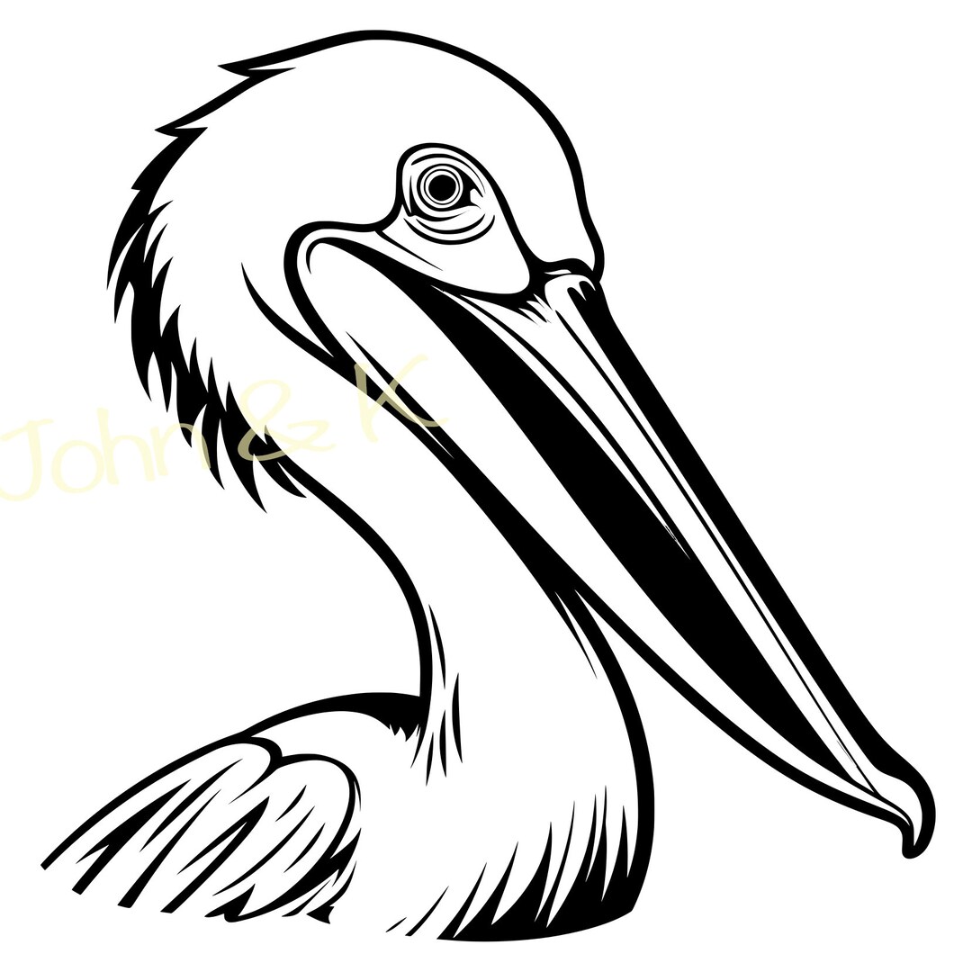 Pelican Svg, Pelican Vector, Funny Pelican Cutfile Cricut Silhouette ...