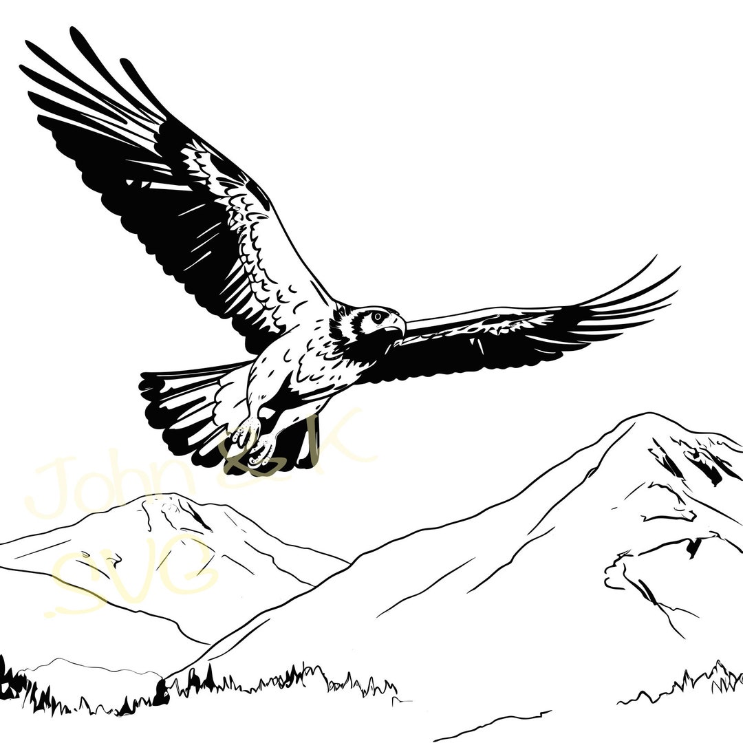 Soaring Harrier Svg, Bird of Prey Svg, Harrier Clipart, Harrier Svg for ...