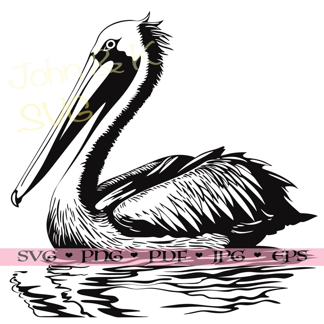 Pelican Svg, Pelican Vector, Funny Pelican Cutfile Cricut Silhouette ...