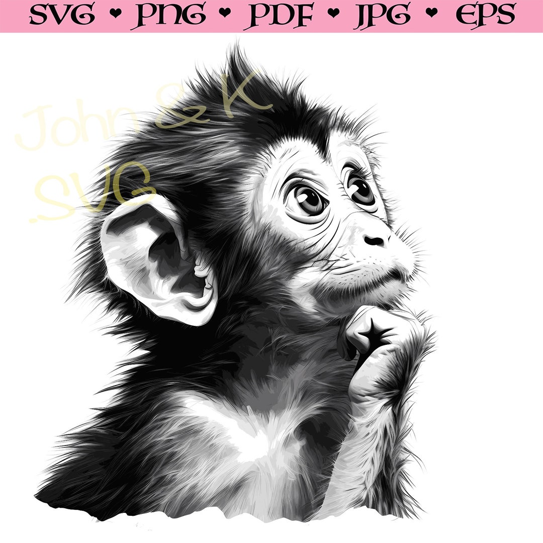 Cute Monkey SVG, Baby Monkey Cutfile, Cricut Silhouette Monkey Baby ...