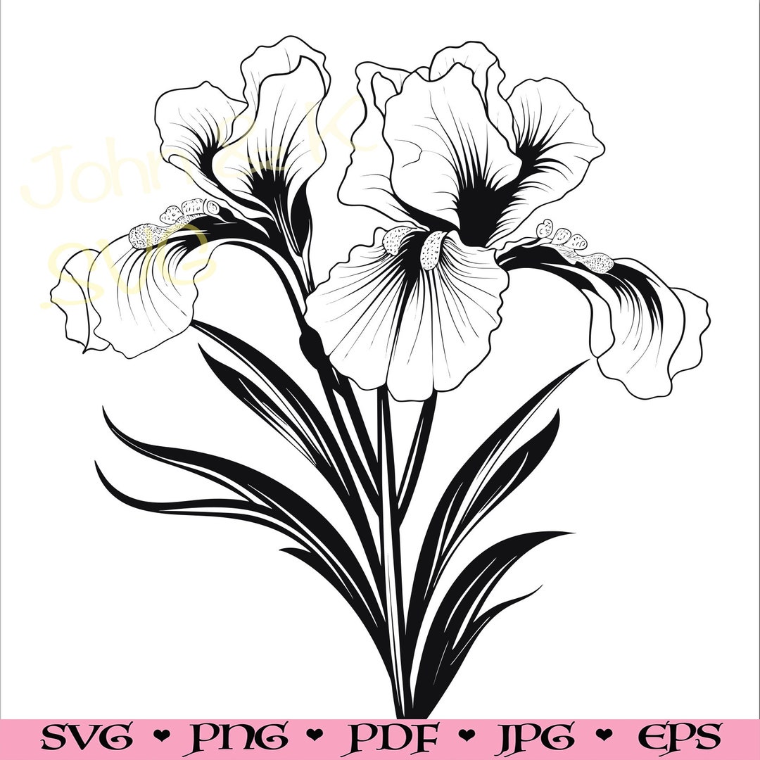Iris Flower SVG: Outline Clipart, Iron On, Laser Engraving (digital ...