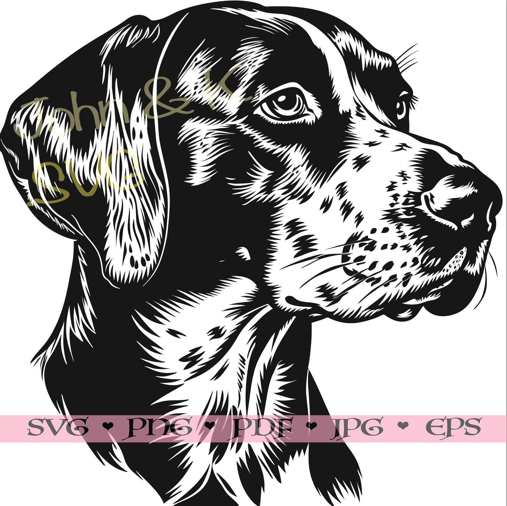 German Shorthaired Pointer SVG, Dog Outline Cut File Cricut Silhouette ...