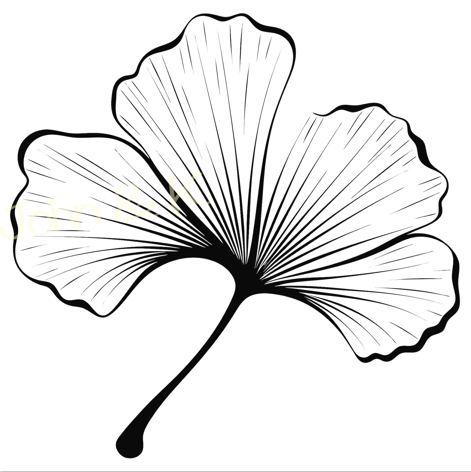 Ginkgo Leaf Svg, Ginkgo Leaf Vector, Leaf Svg, Ginkgo Leaf Clipart ...
