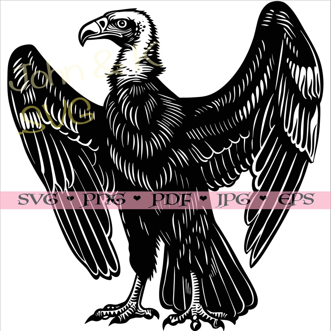 Vulture Svg, Bird of Prey Svg, Vulture Svg Silhouette Cutfile Clipart ...