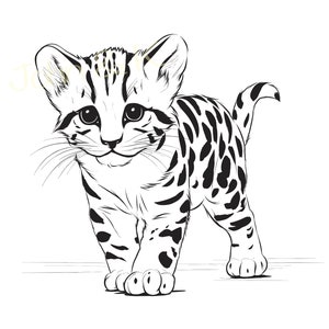 Ocelot Svg, Ocelot Clipart, Wild Cat Svg, Cricut Silhouette Wild Cat ...