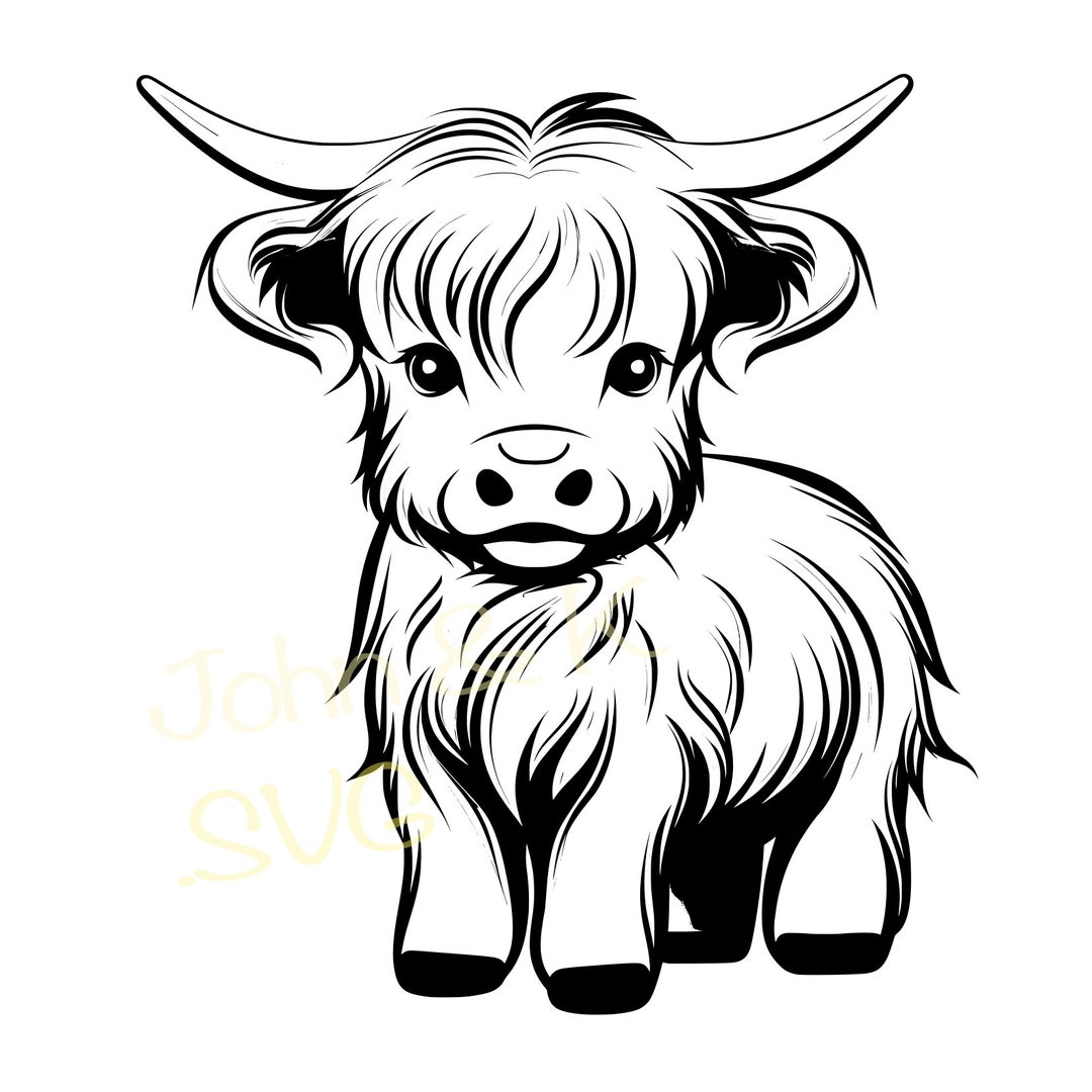 Scotland Highland Cattle Svg, Cute Calf Svg, Calf Clipart, Cattle Svg ...