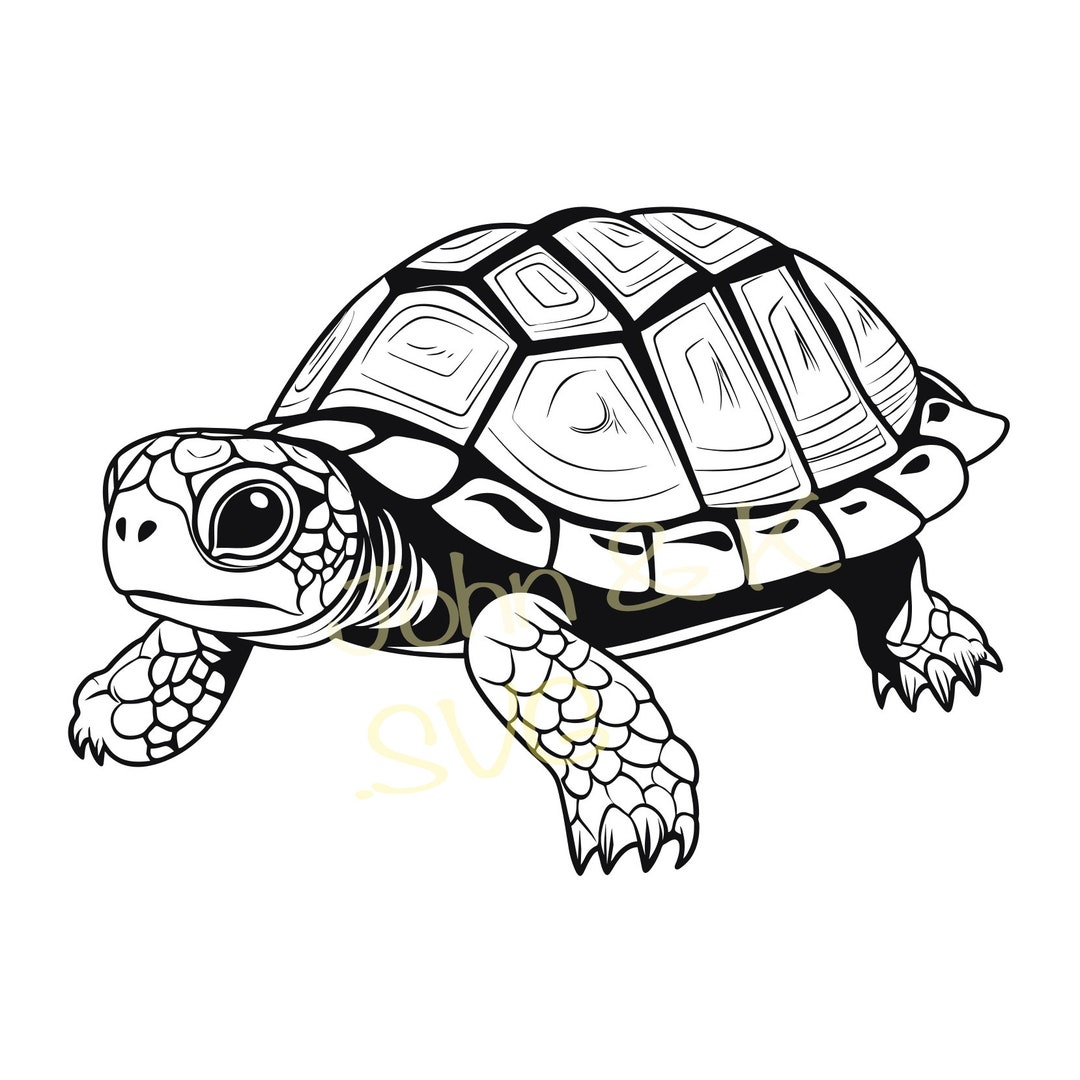 Box Turtle SVG: Clipart Cut File for Shirt, Mug, Sticker (digital ...