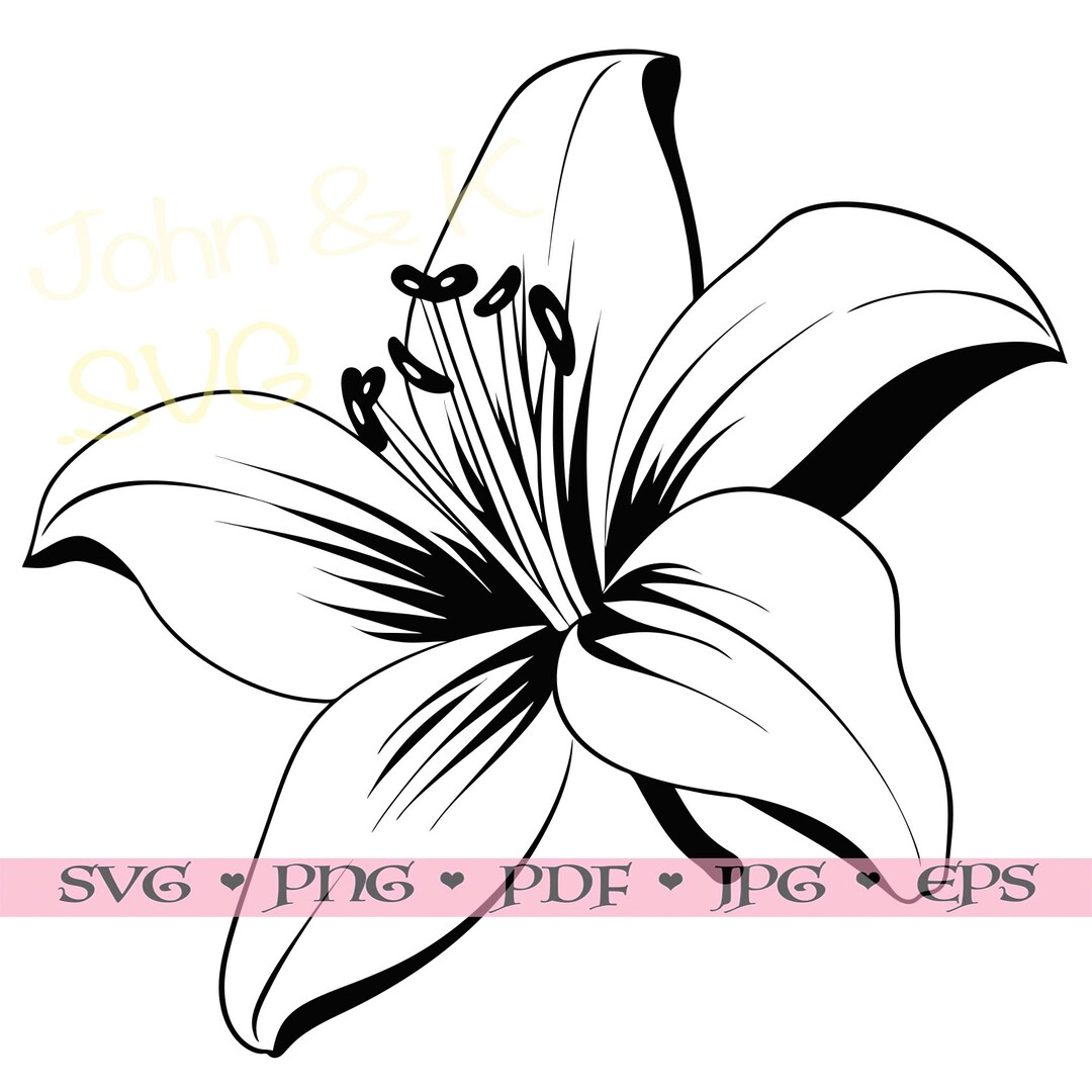 Lily Svg, Lily Flower Outline, Lily Clipart, Lily Svg for Shirt, Decor ...