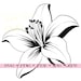 Lily Svg, Lily Flower Outline, Lily Clipart, Lily Svg for Shirt, Decor ...