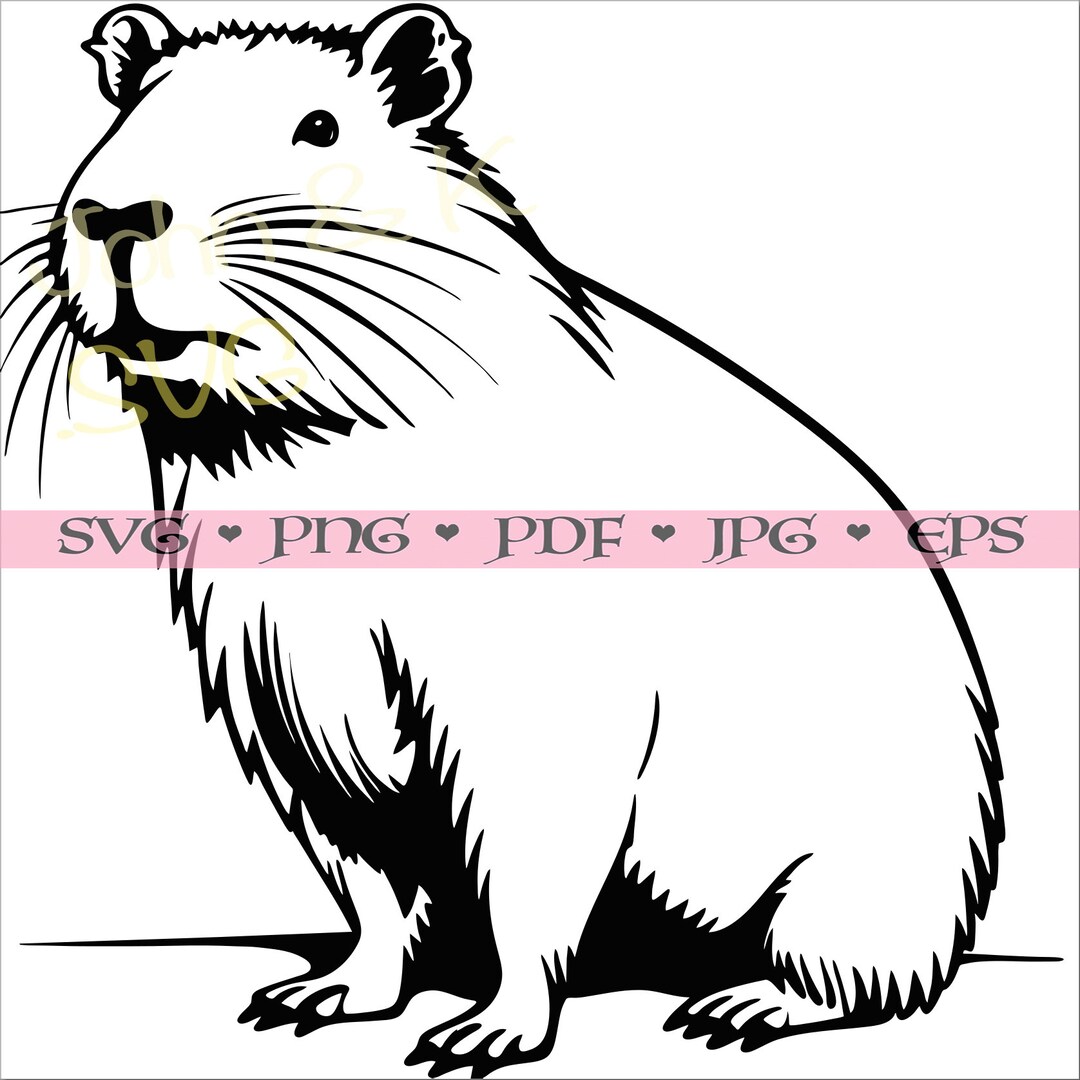 Capybara Svg, Cute Capybara Svg, Cutfile Cricut Silhouette Capybara ...