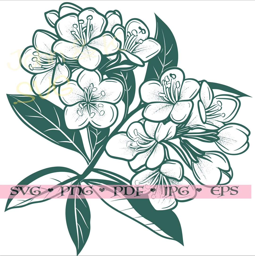 Mountain Laurel Flower SVG: Connecticut State Flower Vector (digital ...