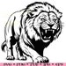 Angry Lion Svg, African Lion Art, Lion Clipart, Male Lion Svg for ...