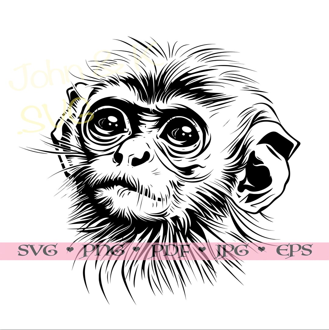 Spider Monkey SVG, Cute Monkey Cutfile, Cricut Silhouette Monkey ...