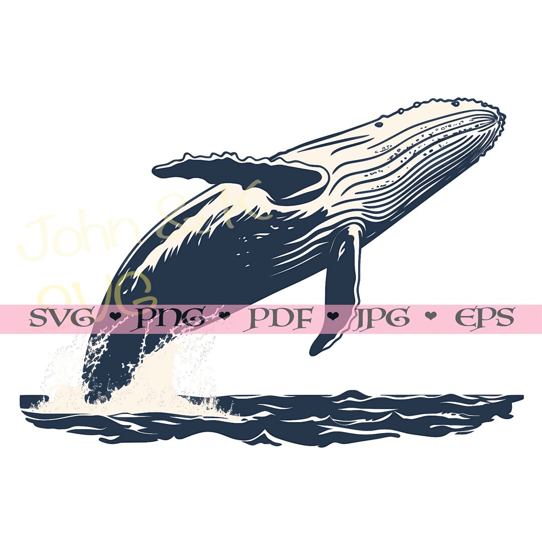 Humpback Whale SVG, Whale Cutfile, Cricut Silhouette Whale Breaching ...