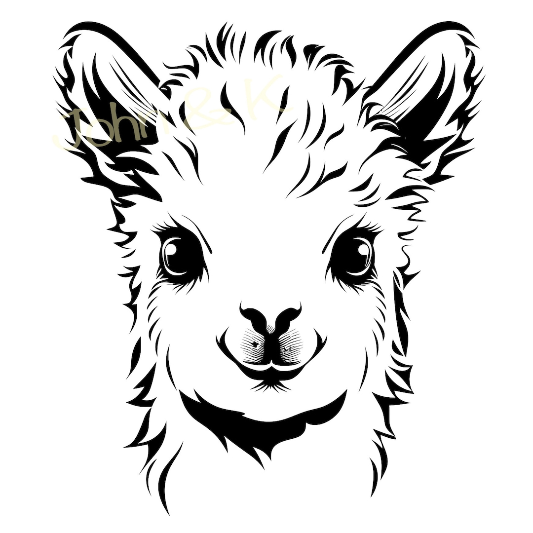 Alpaca Svg, New Zealand Alpaca Svg, Cute Alpaca Vector Cricut ...