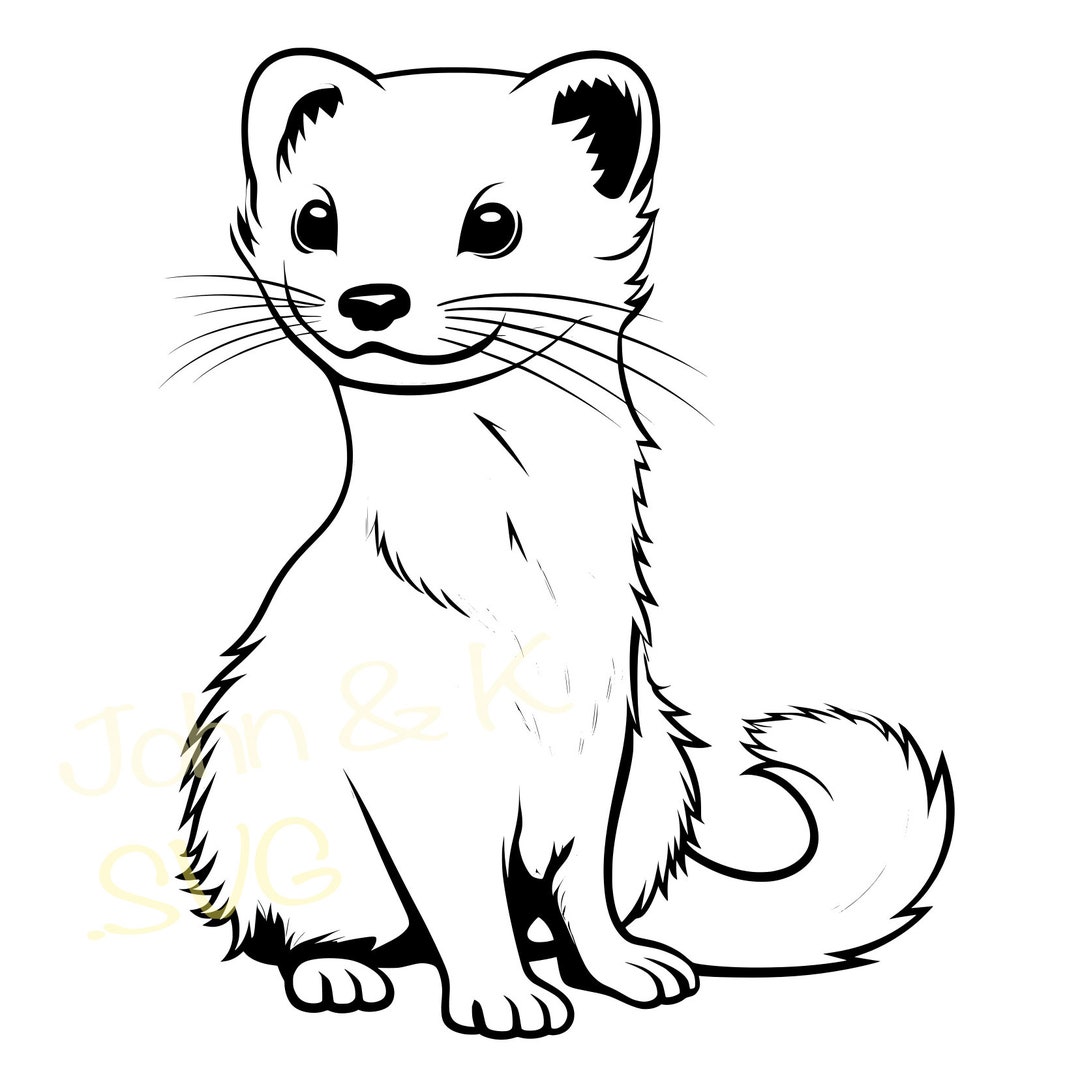 Anglo Mink Svg, Ferret Svg, Anglo Mink Clipart, Mink Svg for Fleece ...