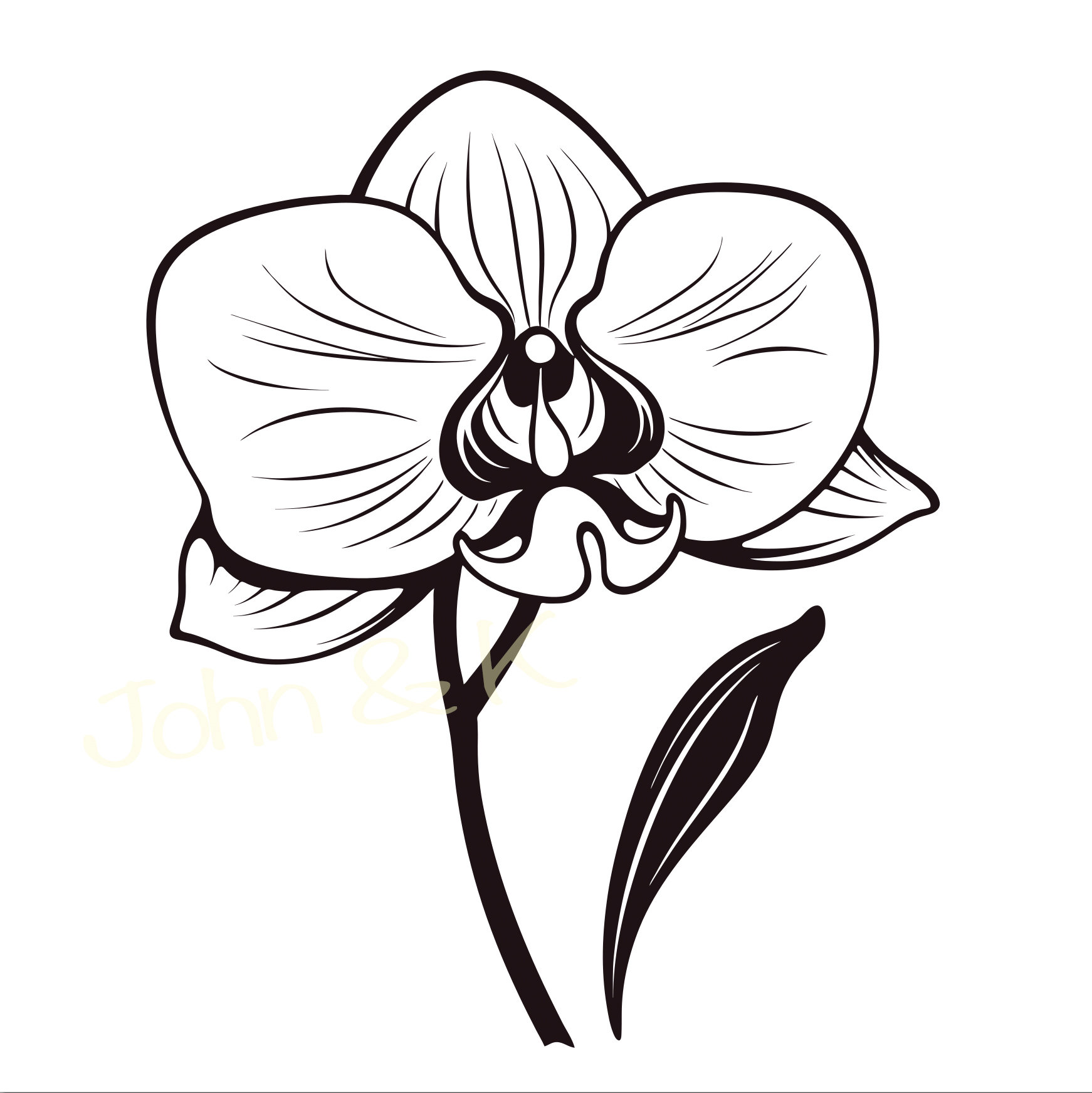 Orchid Svg, Orchid Vector, Orchid Flower Svg, Orchid Clipart, Orchid Flower Svg for Tattoo Shirt ...