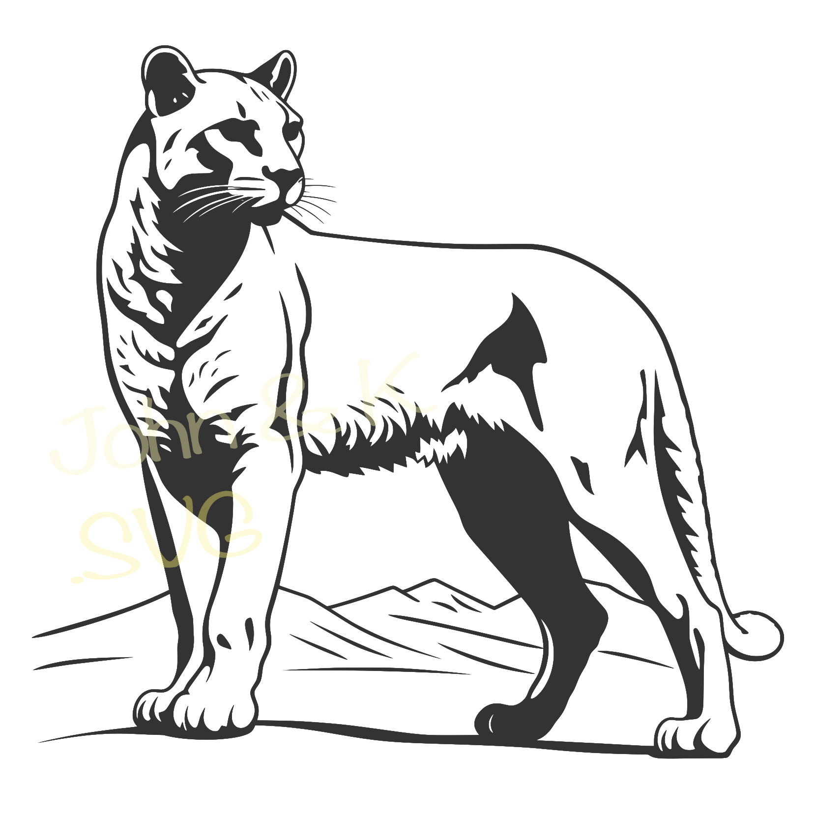 Clipart Mountain Lion Wildlife Monthly: The Magnificent Mountain Lion