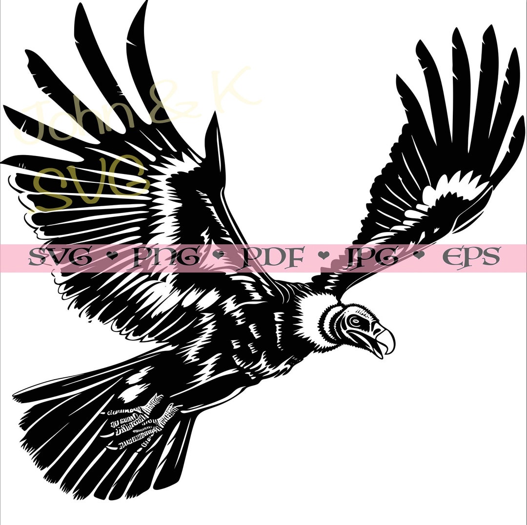 Vulture Svg, Bird of Prey Svg, Vulture Svg Silhouette Cutfile Clipart ...