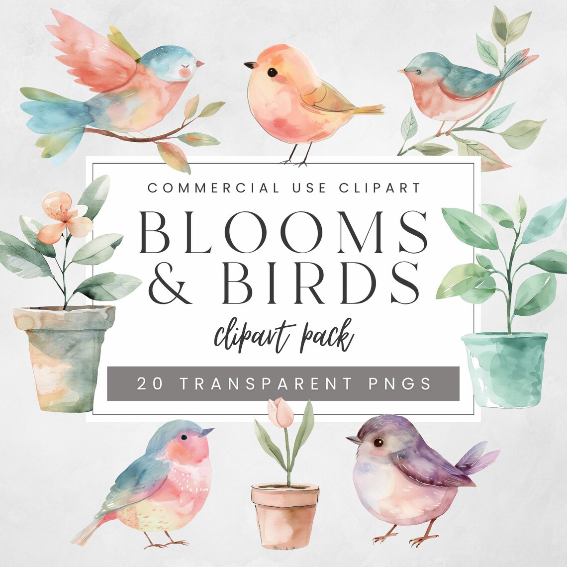 Watercolor Birds and Potted Plants Clipart Pack, Floral and Garden ...