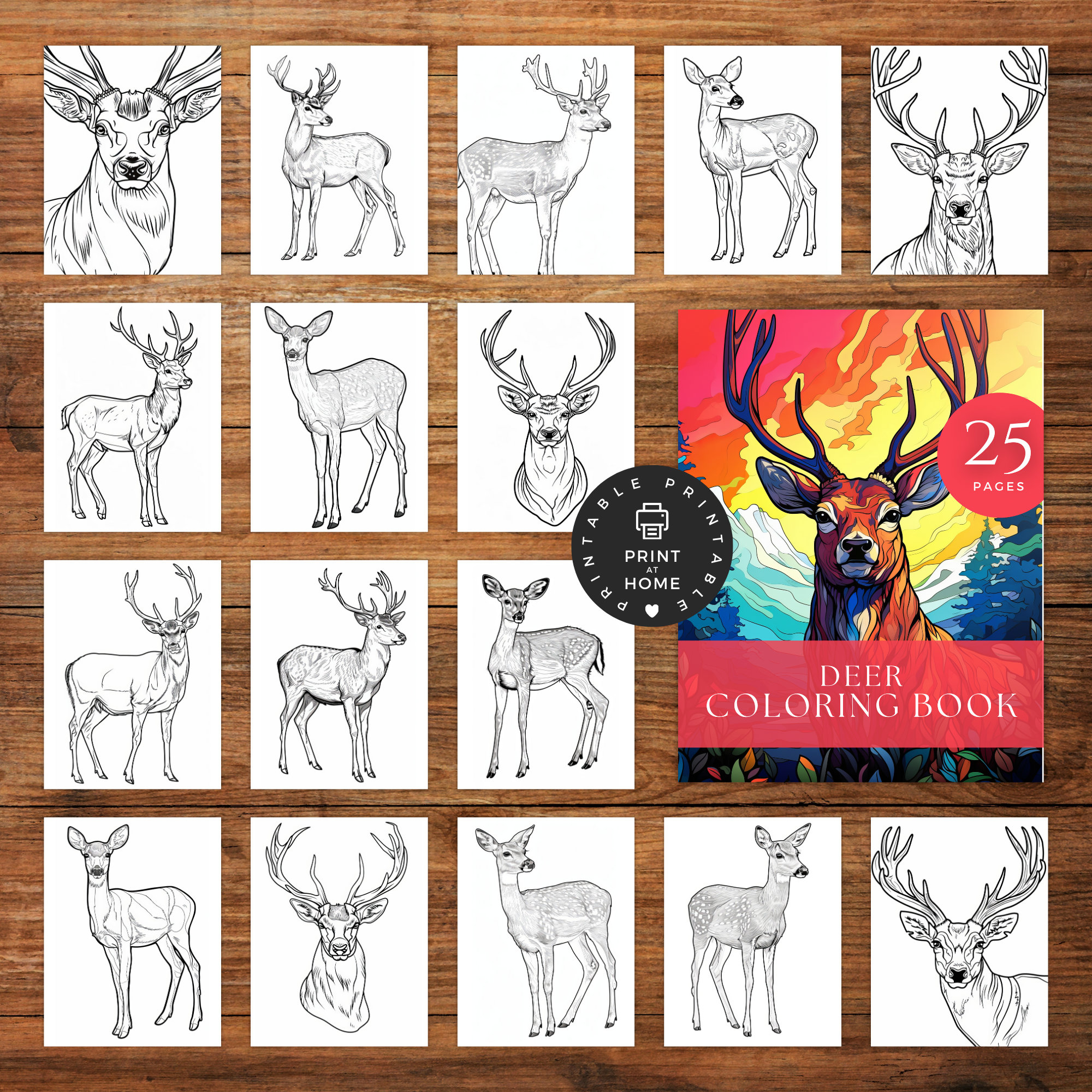Printable Deer Coloring Book, Coloring Pages for Adults, Kids Coloring ...