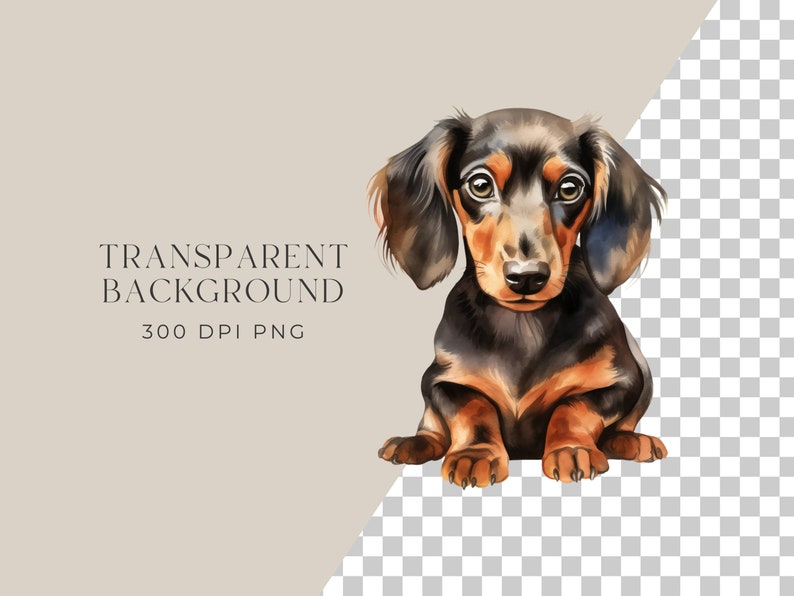Dachshund Dog Clipart, Weiner Dog Digital Download, Dog Lover Graphics ...